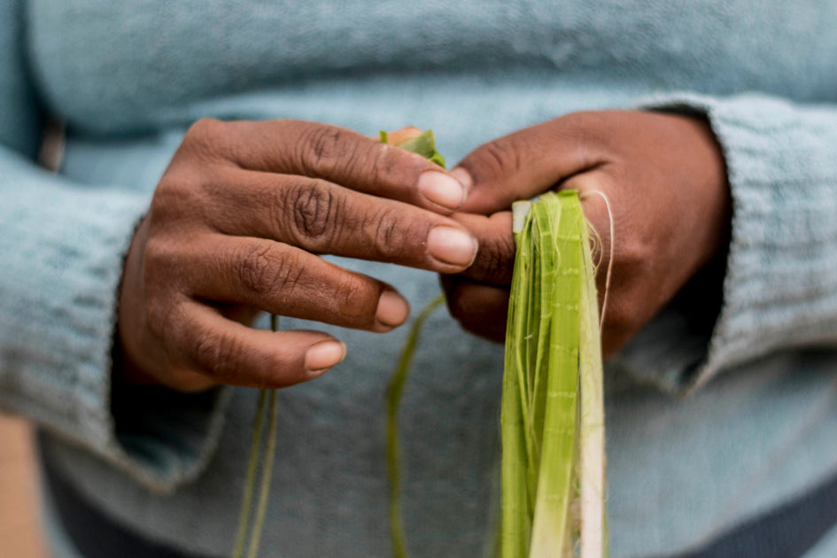 The Wichi Tribe – Badawiah